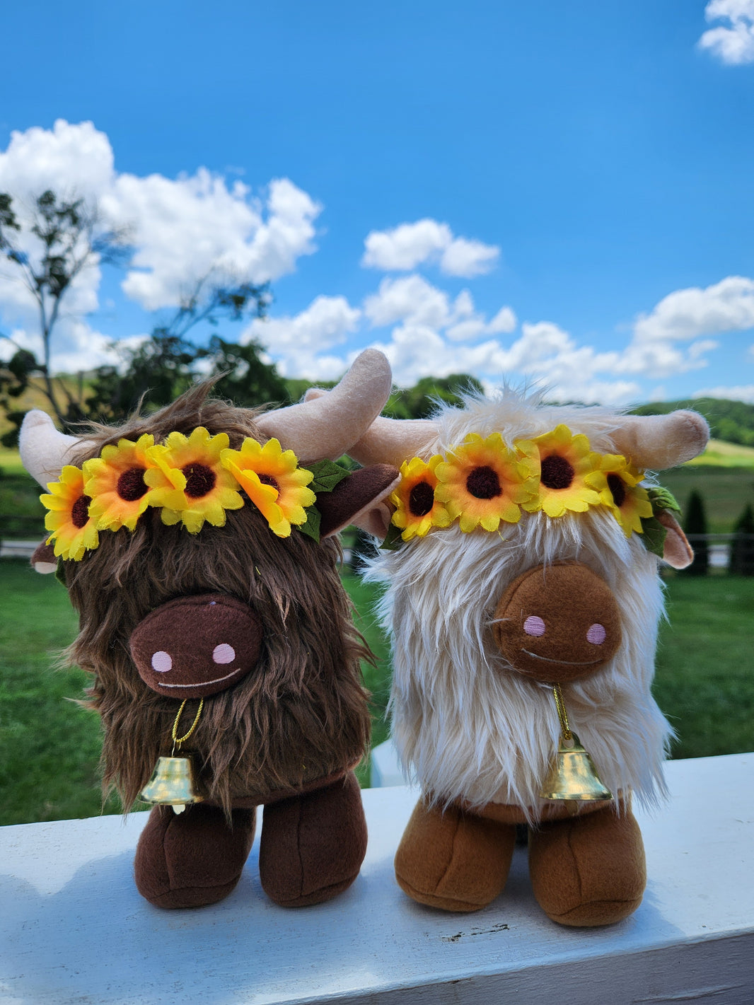 Farm Merchandise – MontgomerySkyFarm